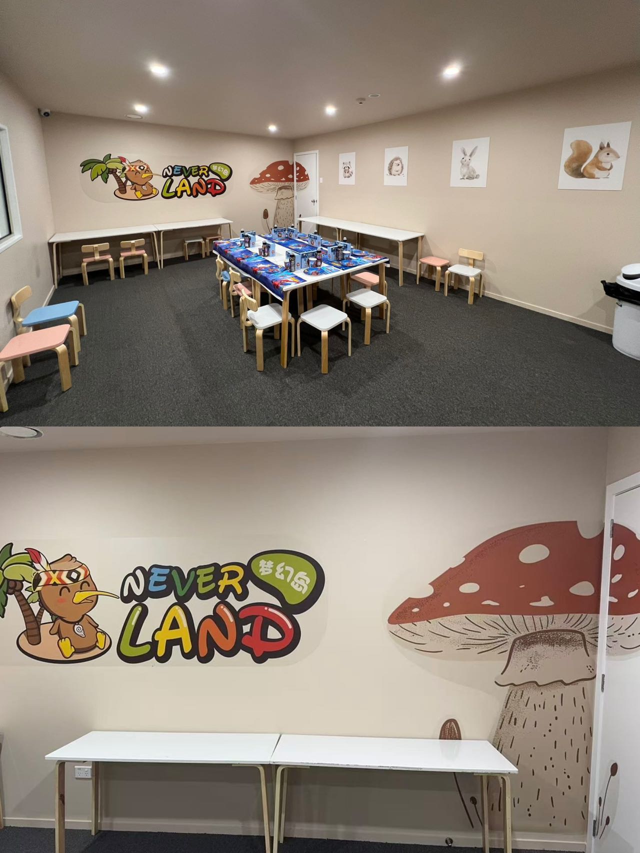 NeverLand – Auckland playground